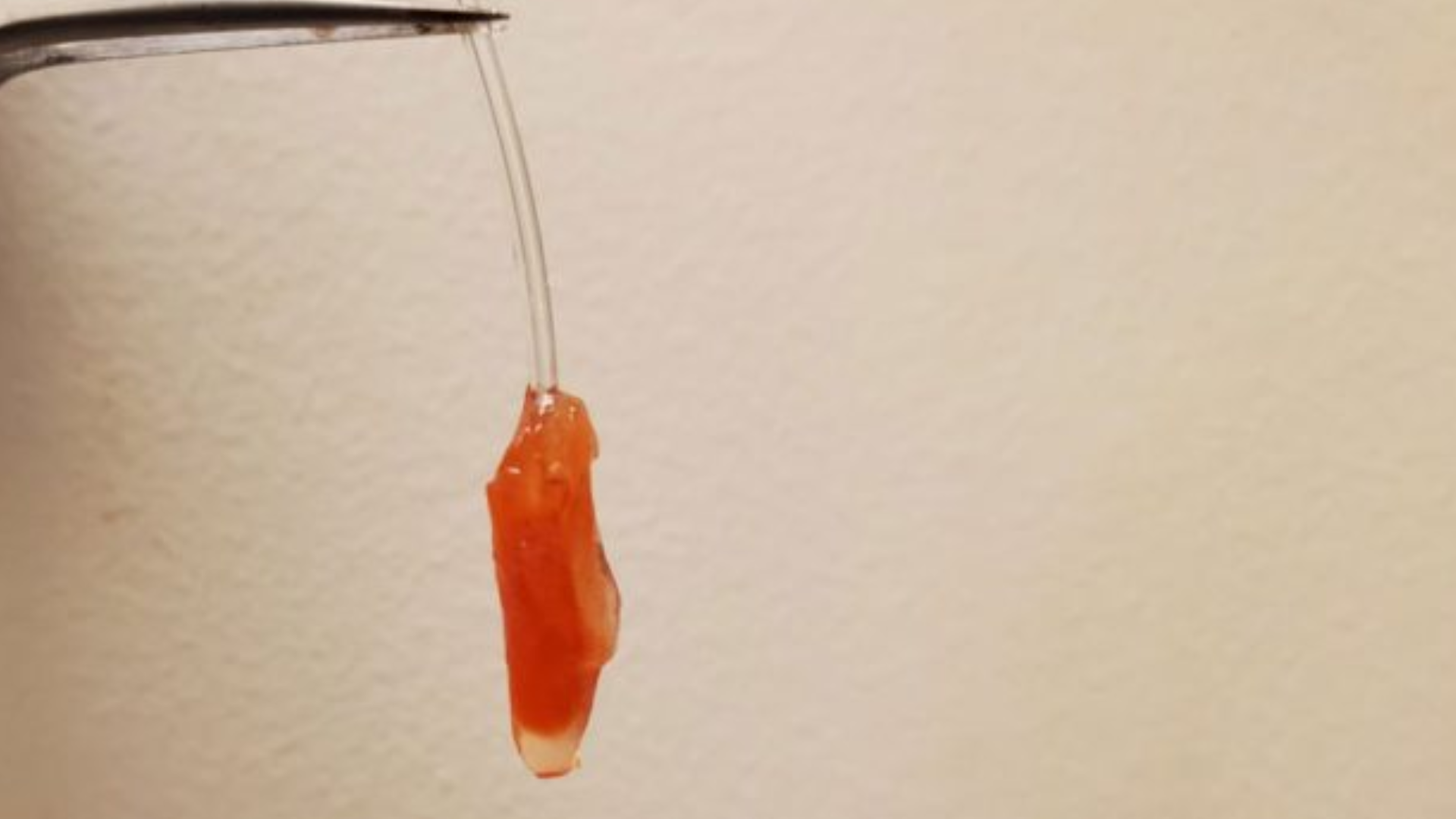 Lab-grown artificial heart part has living cells, and it beats perfectly