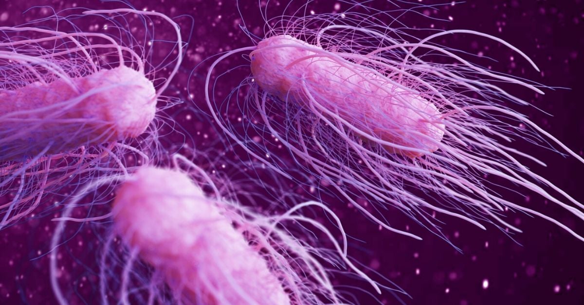 Kamikaze Bacteria: Dying Bacteria Self-Sacrifice to Save their Colony