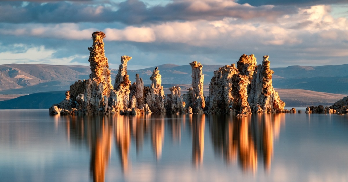 Researchers Discover New Species of Worm That Has Three Different Sexes