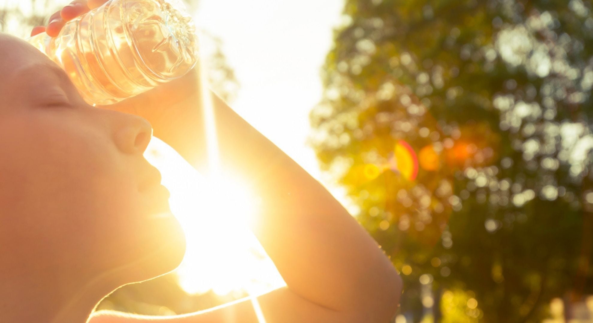 The Earth Is Getting Hotter. This Is How Heat Can Kill You