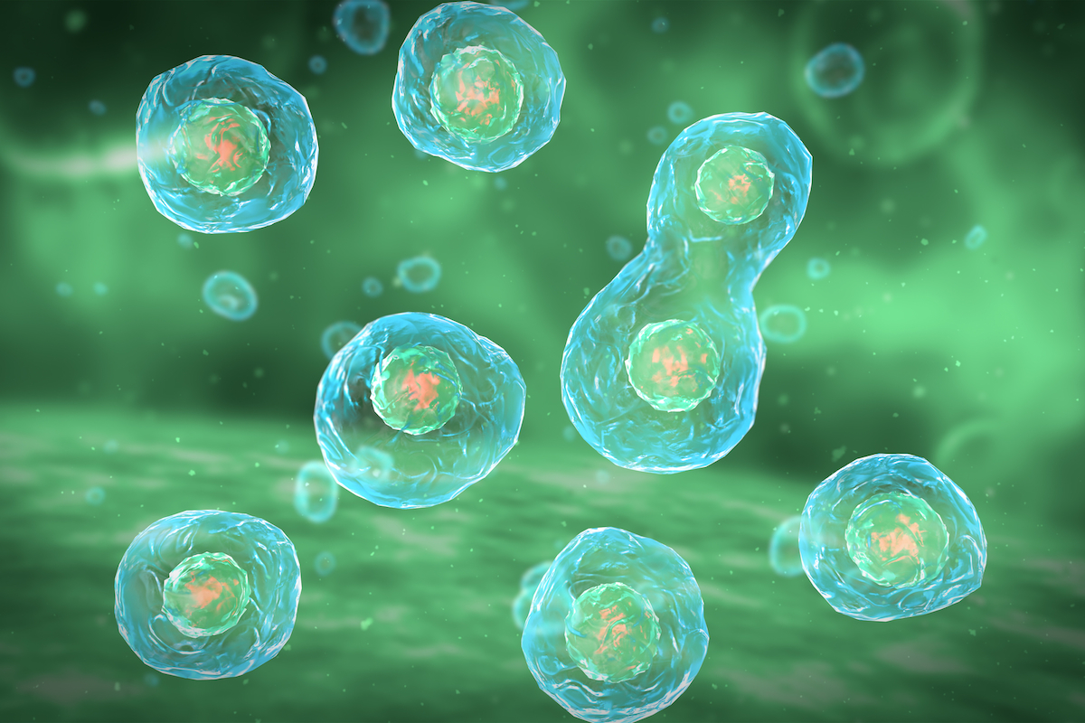 Scientists Have Engineered A New 'Glowing' Protein
