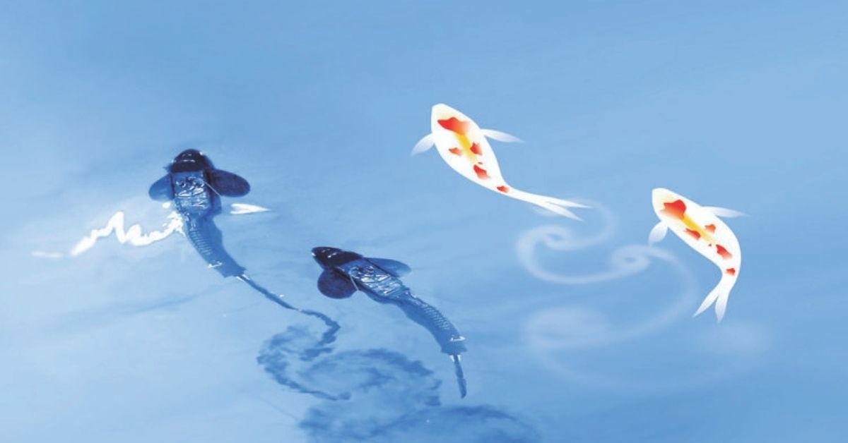 Scientists Develop Robotic Fish to Study Swimming Behavior in Schools