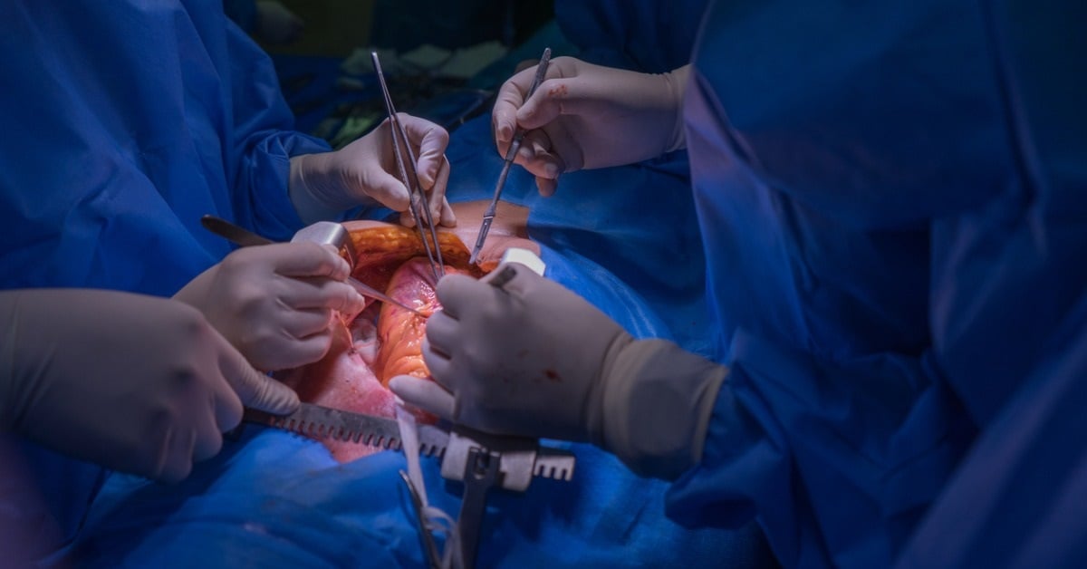 Heart Muscle Cells Made in the Lab Successfully Transplanted into Patient