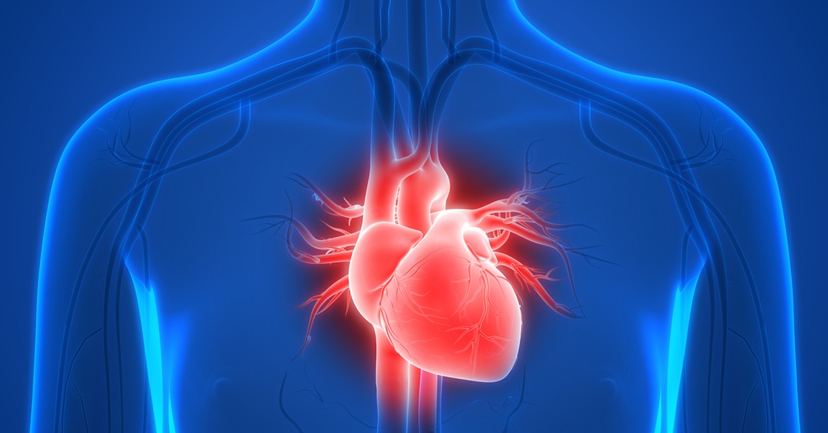 Human Heart Cells Alter in Spaceflight but Return to Normal Quickly on ...