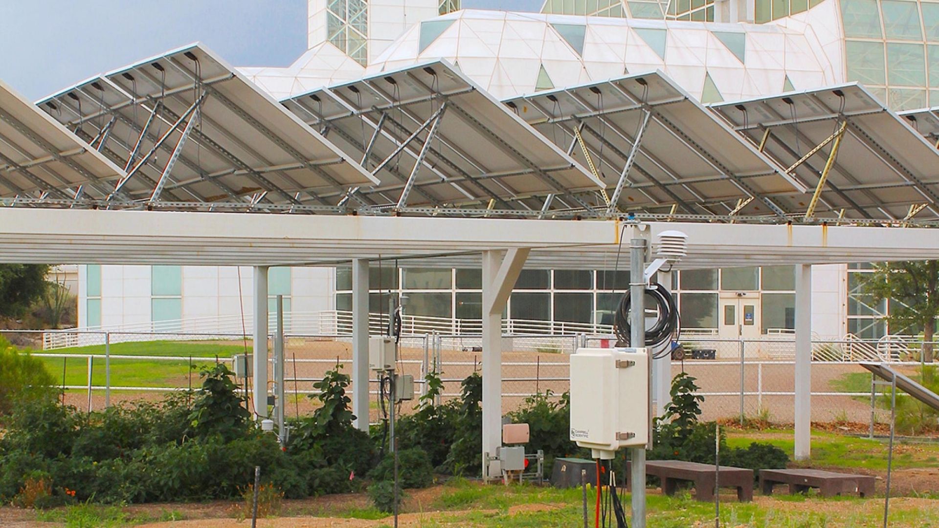 Growing Crops Under Solar Panels Could Substantially Boost Energy ...