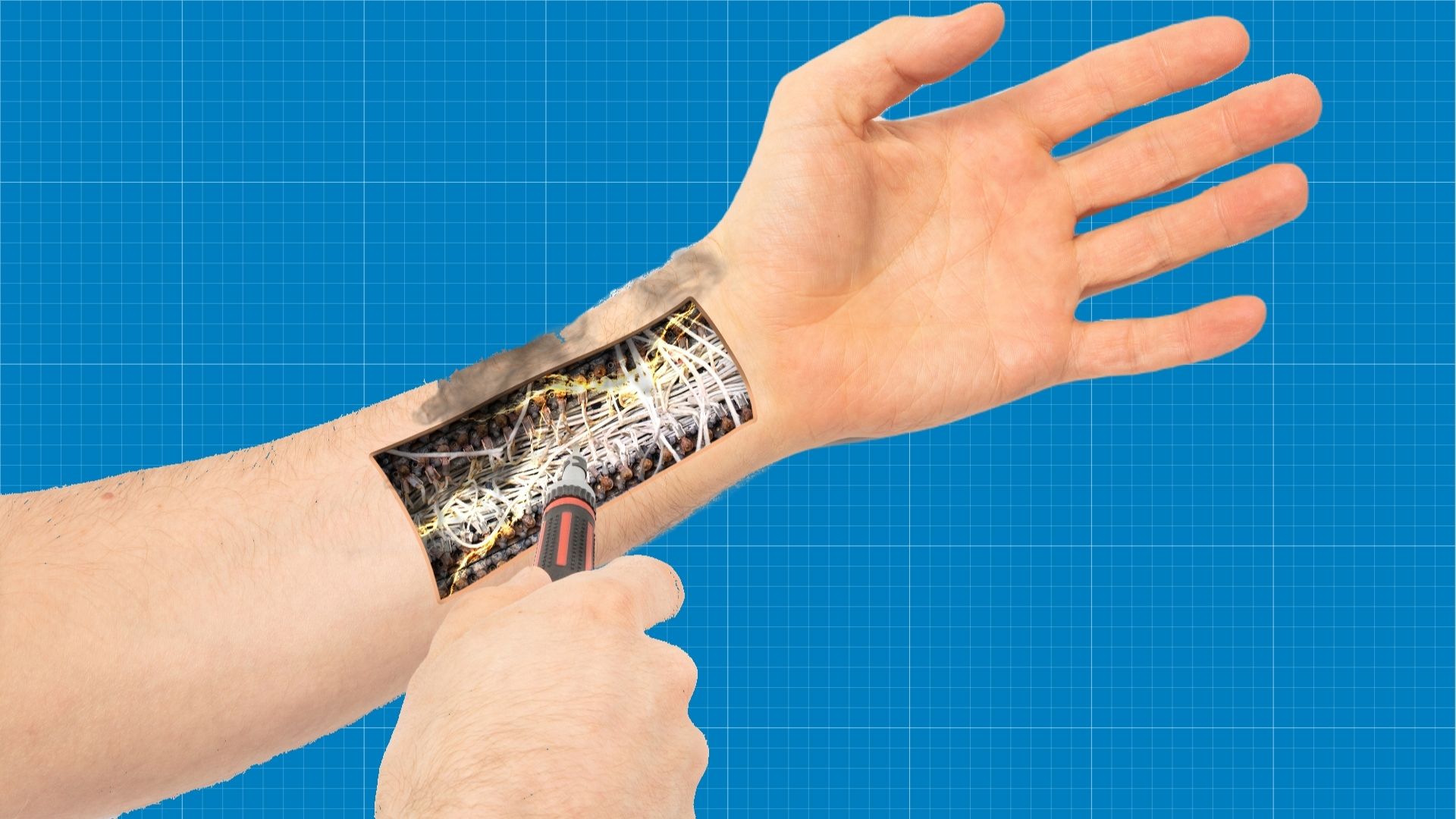 Science Is a Step Closer to Understanding How Skin Repairs Itself