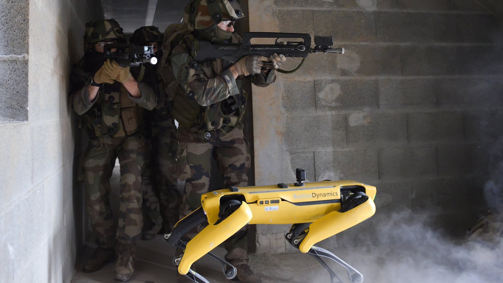 French Army Trains Spot the Robot Dog for Field Combat