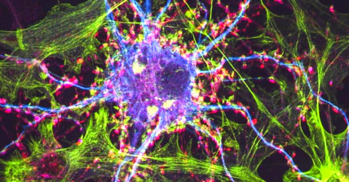 New Psychedelic Drug Treats Depression Without the Trip, Says Study