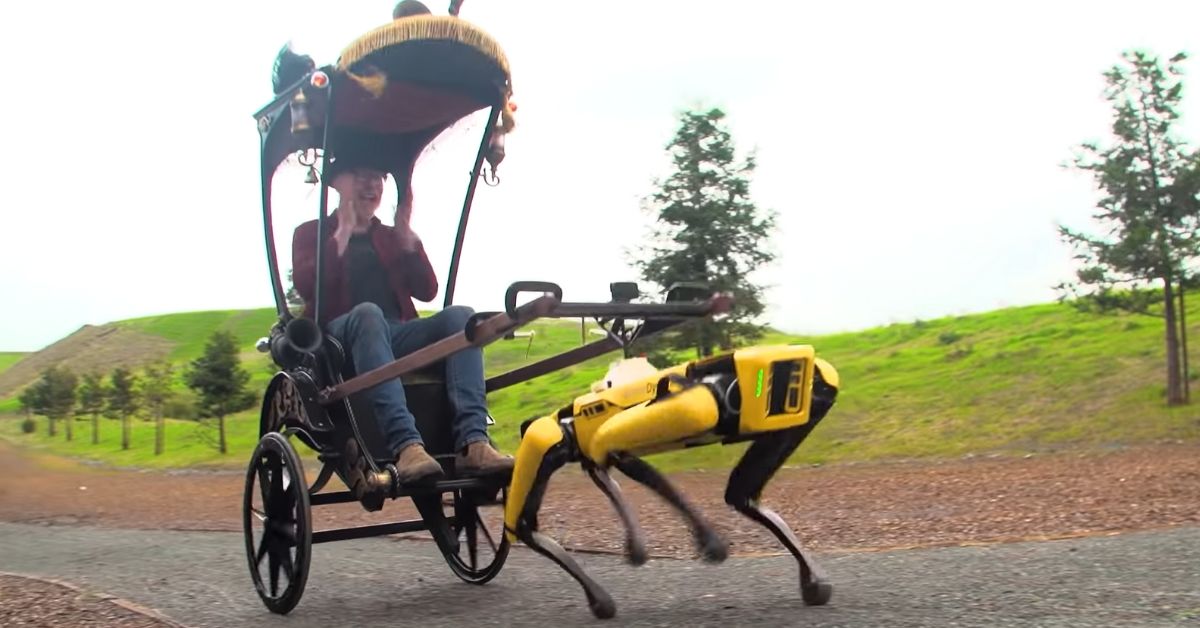 Robodog Drags "Mythbusters" Co-Host Adam Savage Around in Rickshaw