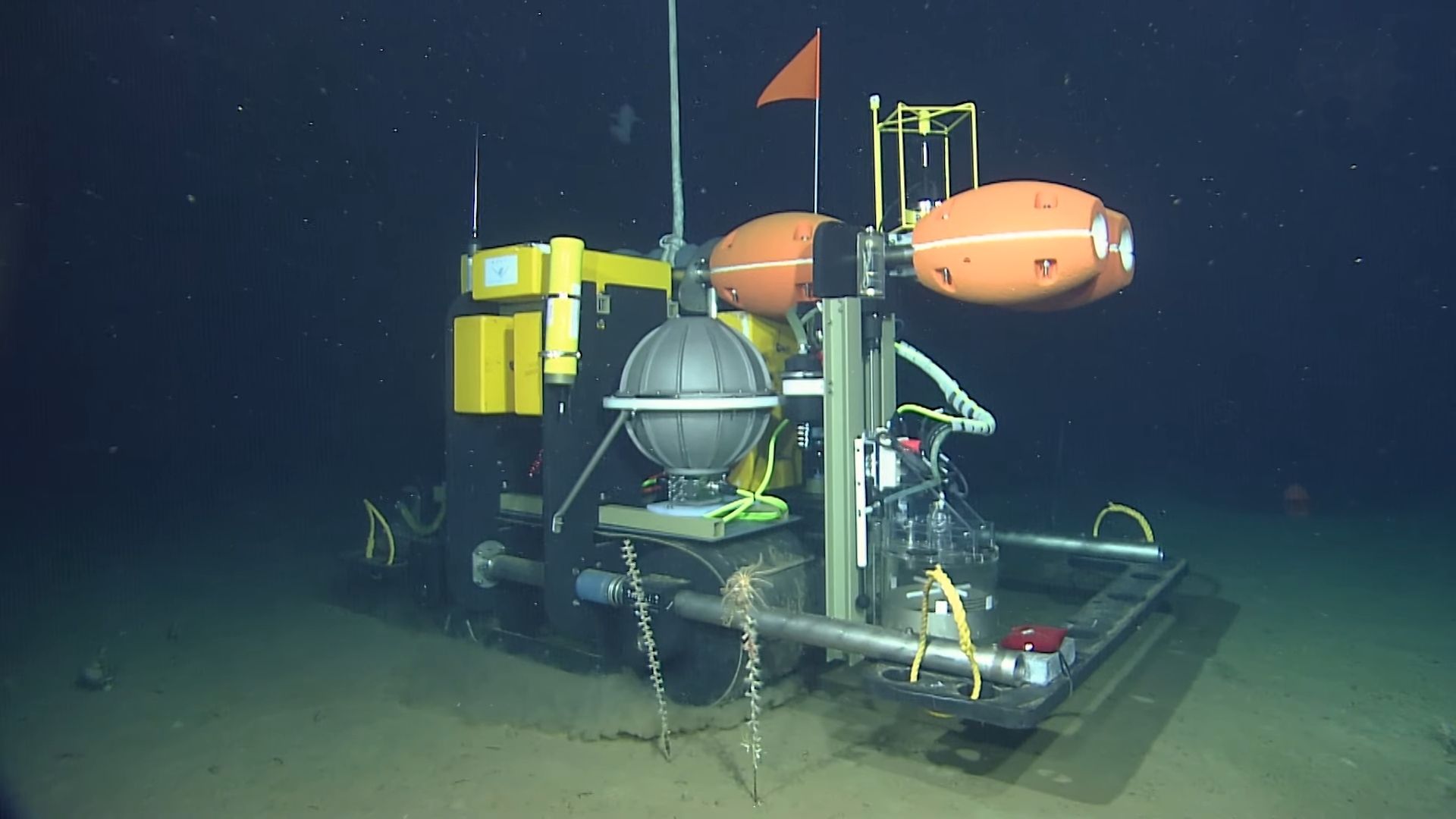 This Deep Sea Robot Is Exploring The Mysteries of Our Oceans' Climate ...