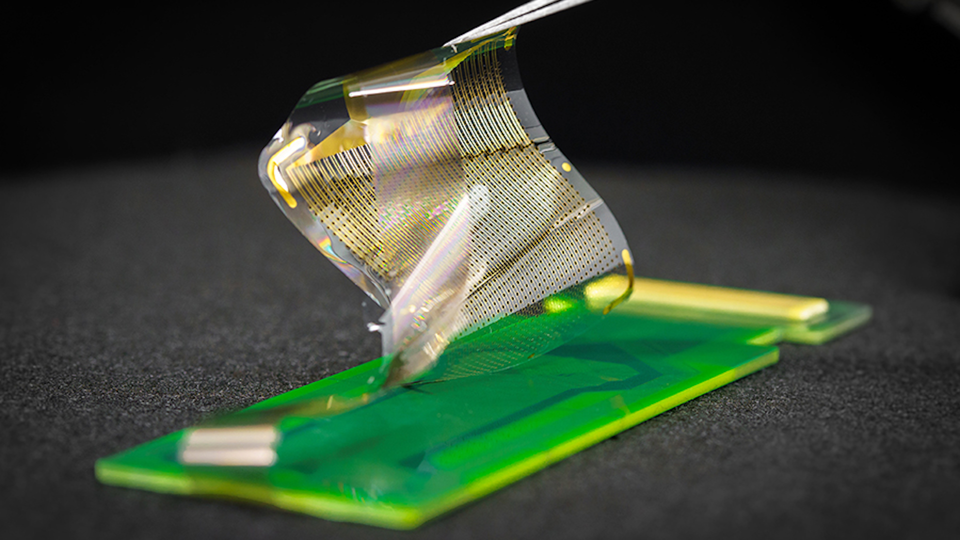 A New Brain Sensor Maps the Human Brain With Record-Breaking Accuracy