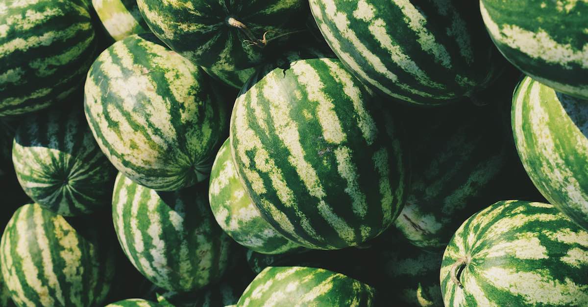 Listening to Traditional Nigerian Music Can Help You Pick a Ripe Watermelon