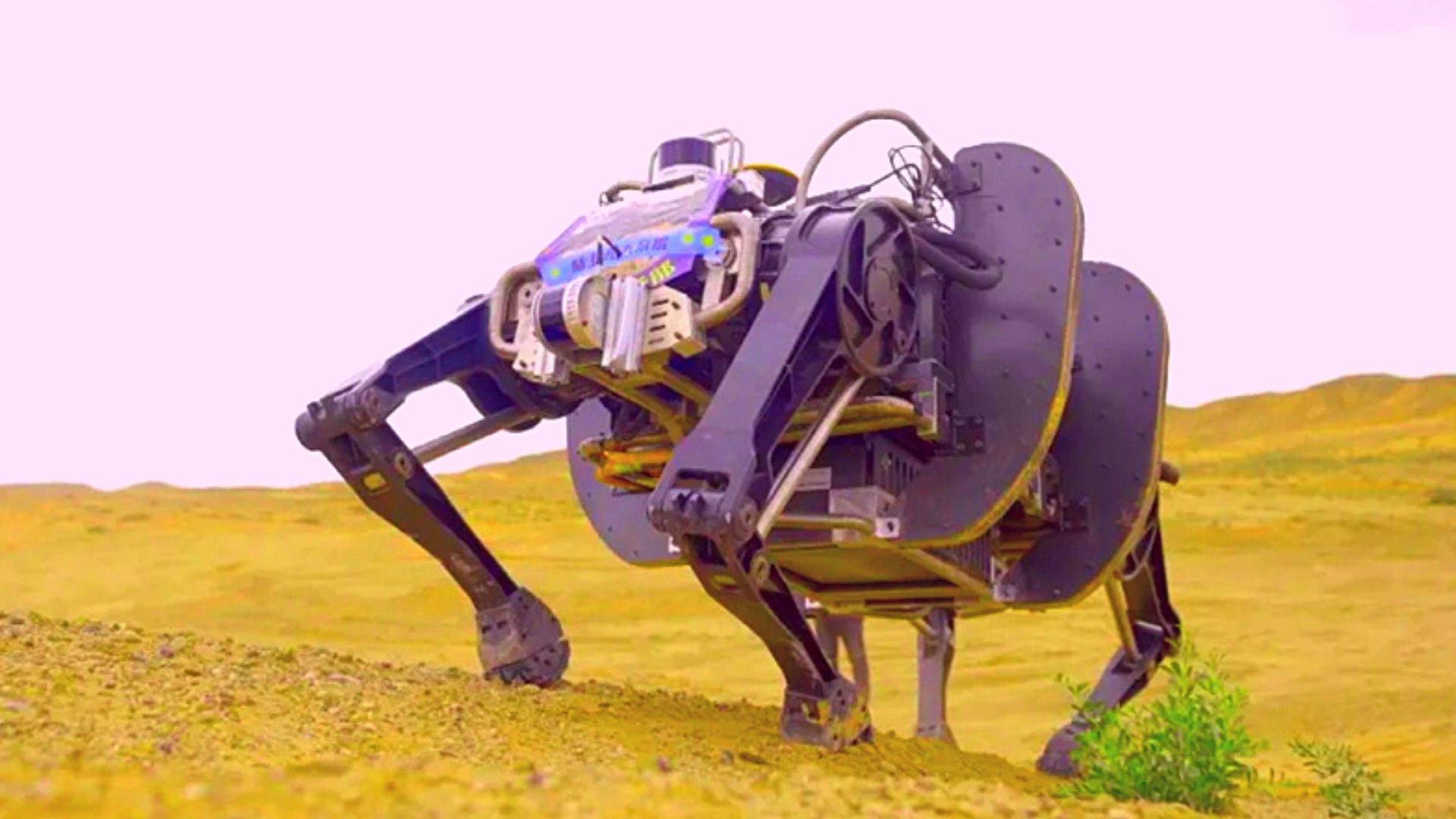 China's New Electric Quadruped Robot Could Be the Largest in the World