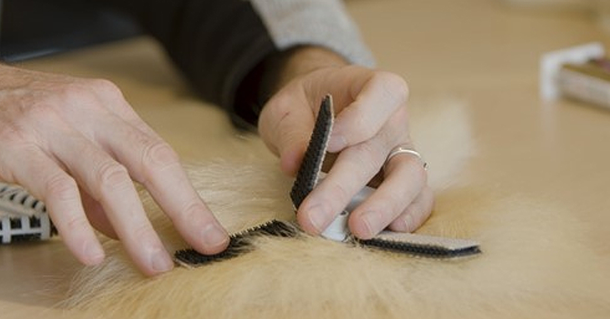 New Stick-On Tech Could Solve Polar Bear Tracking Problem