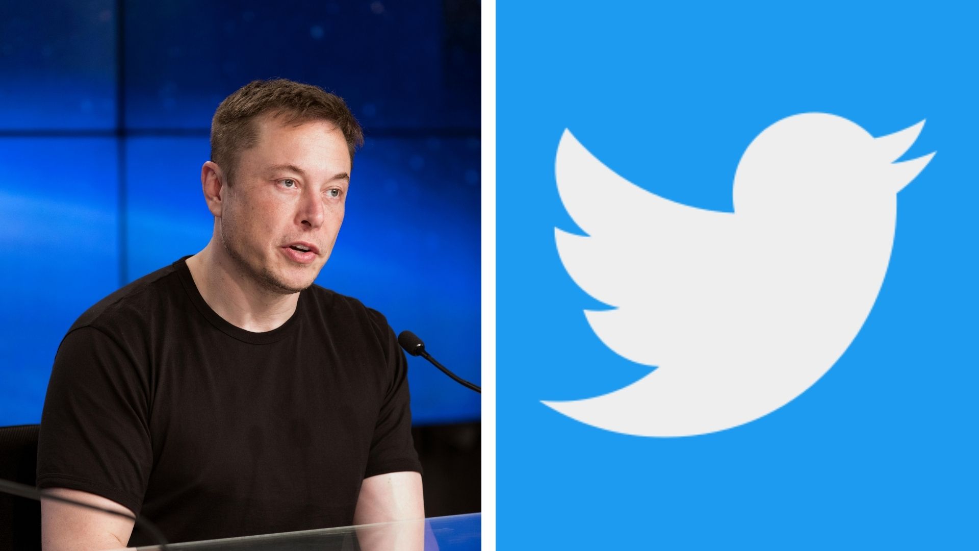 Twitter adopts ‘poison pill’ defense in the face of Elon Musk's ...