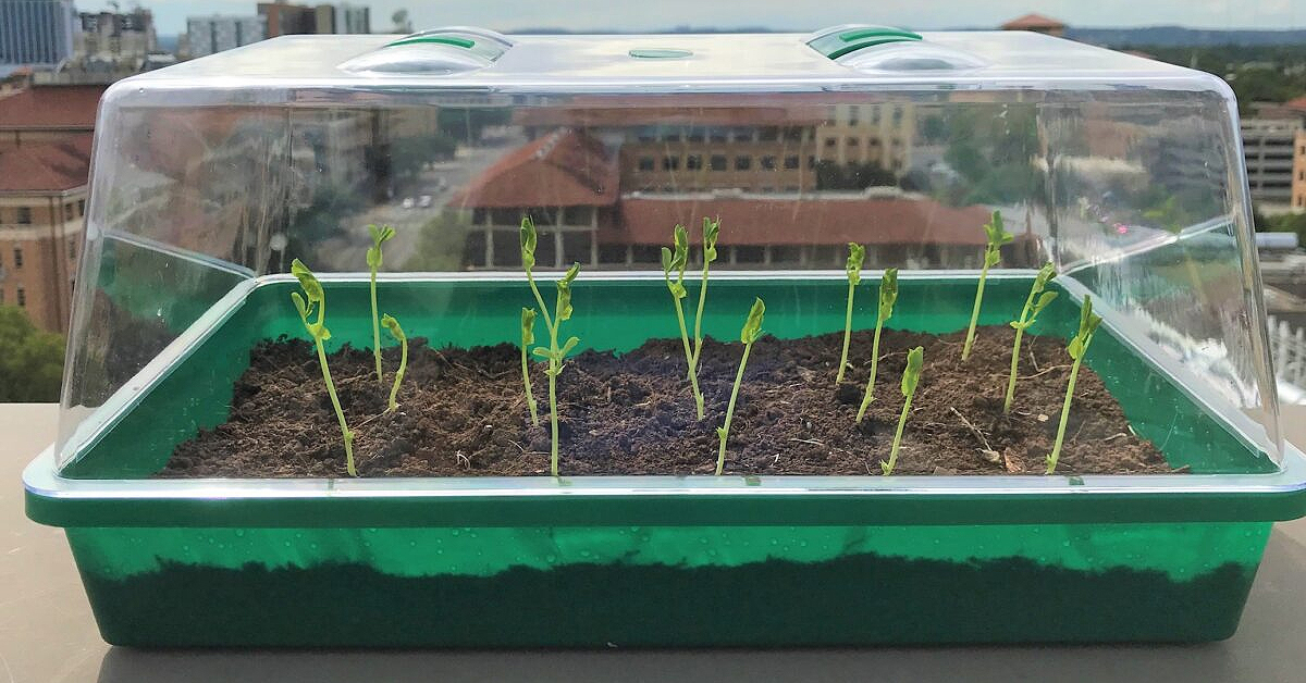 Engineers Create Self-Watering Soil That May Revolutionize Farming