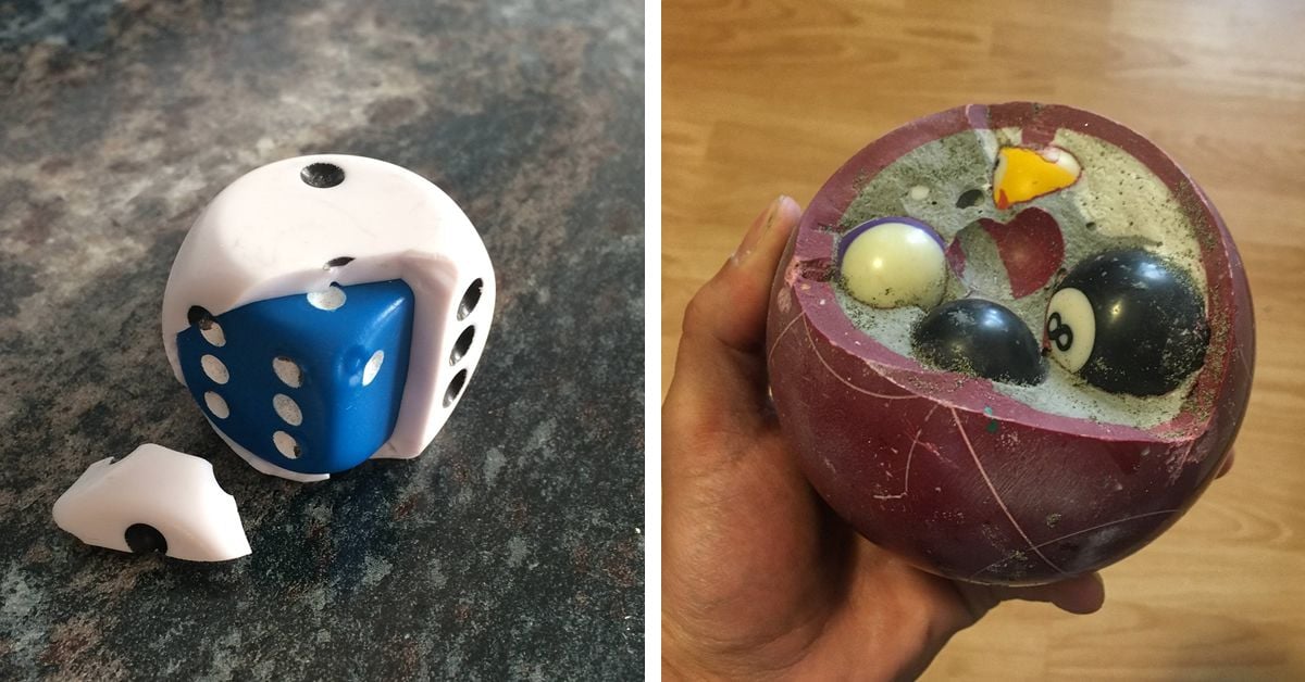 13 Surprising Things People Have Found inside Other Things