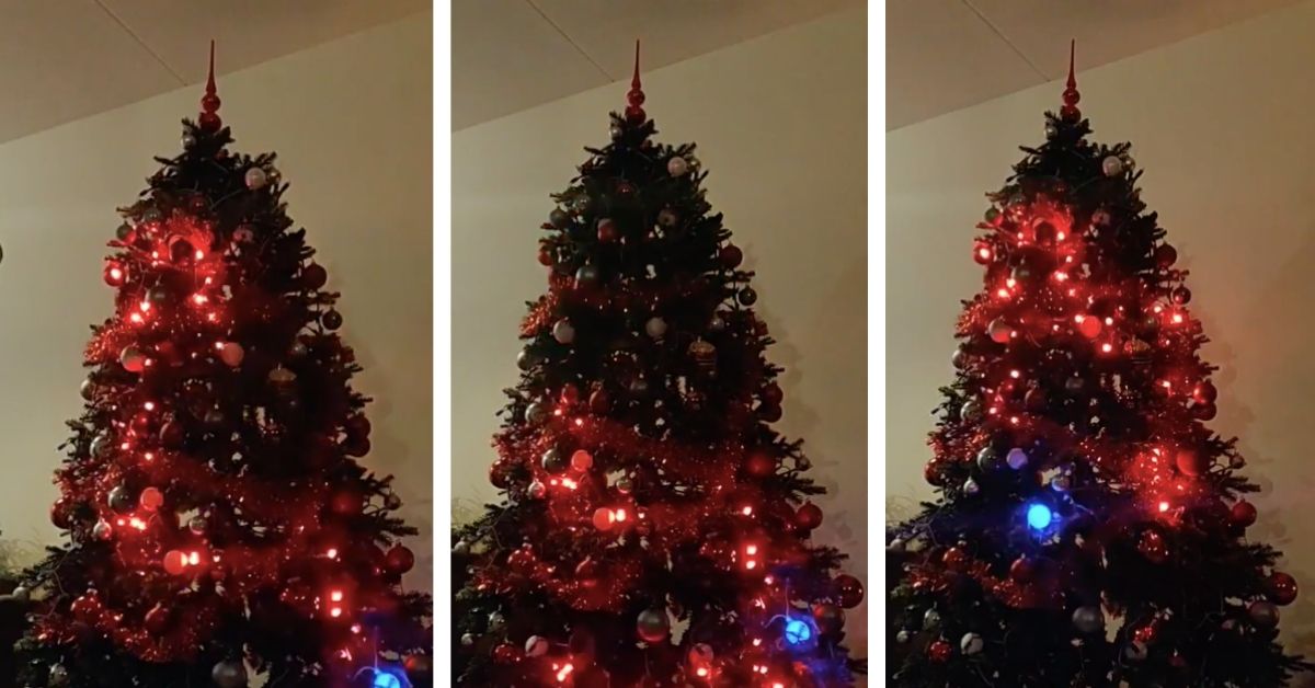 Engineer Programmed His Christmas Tree Lights to Play a Giant Game of Snake