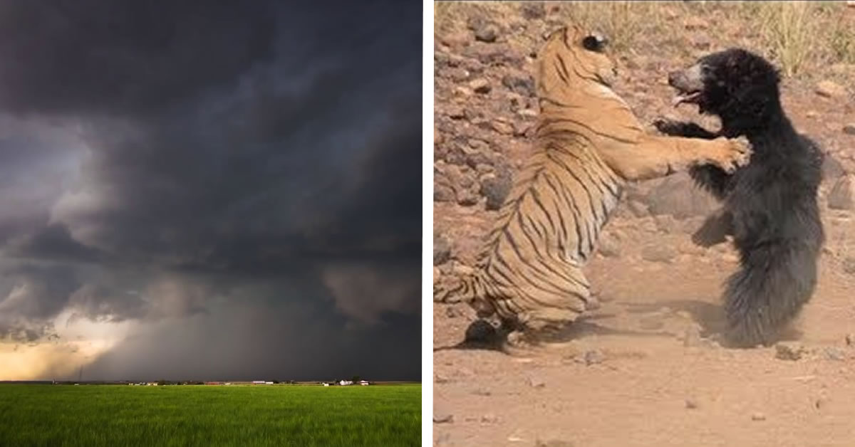 These 7 Videos Prove How Powerful Nature Is