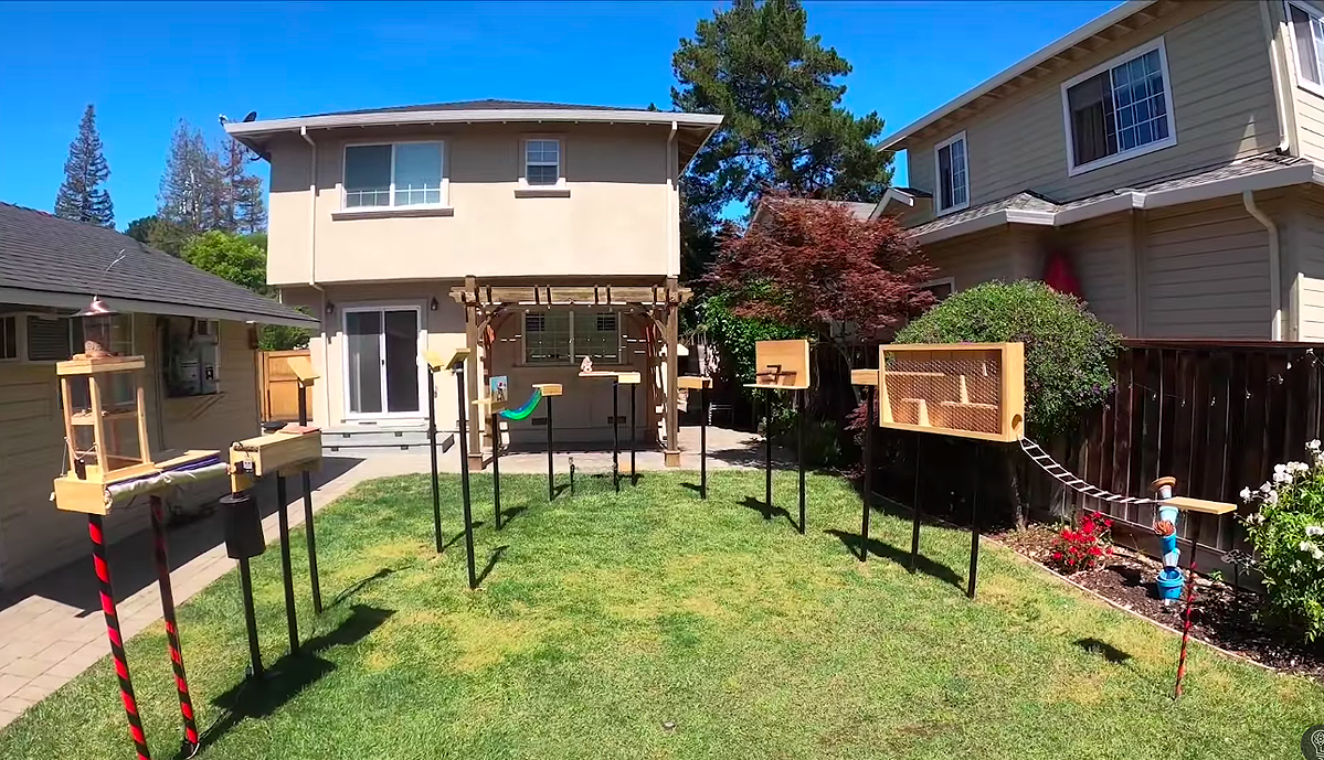 Ex-NASA Engineer Built a 'Ninja Warrior' Course to Stop Nut-Stealing ...