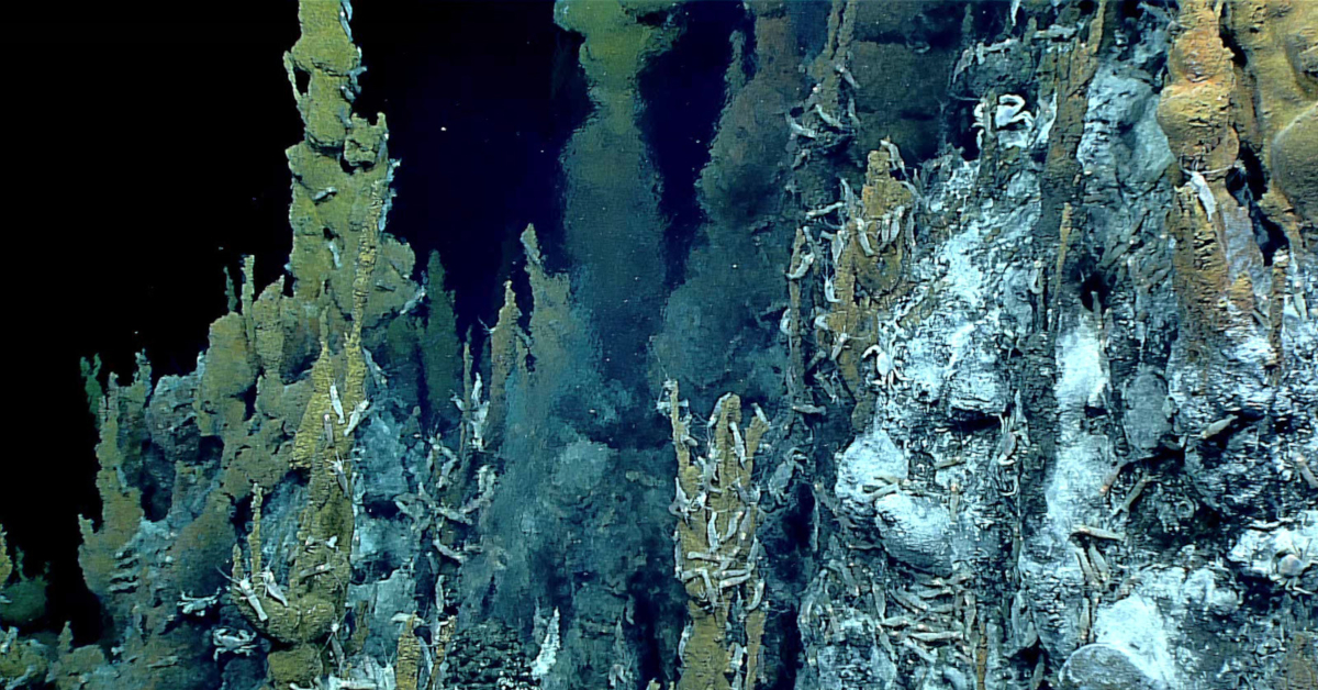 Explorer Breaks Record for Deepest Dive Ever by Reaching Bottom of the ...