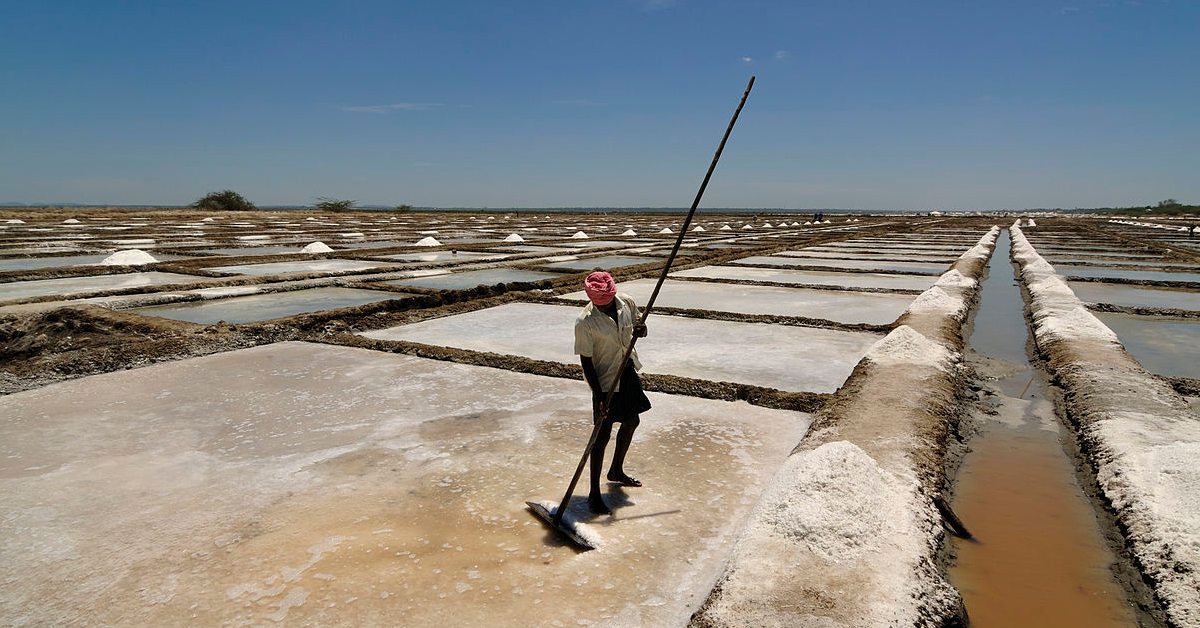 Salt of the Earth and of the Sea: There's a Lot More to the Story Than ...