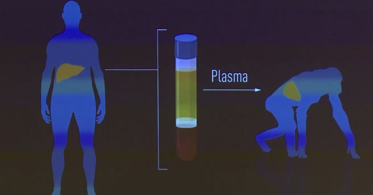Discovery of Hepatitis C Takes Nobel Physiology or Medicine for 2020 Home