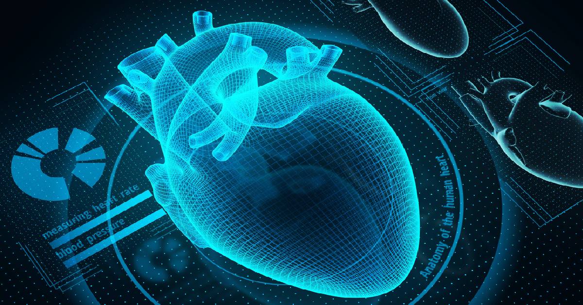 New Study Finds Marijuana Use May Damage the Structure of the Heart