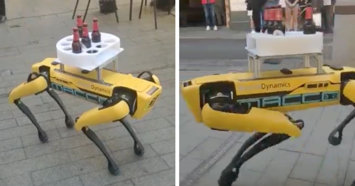 Spot the Robot Spotted Serving Beers in Sevilla, Spain