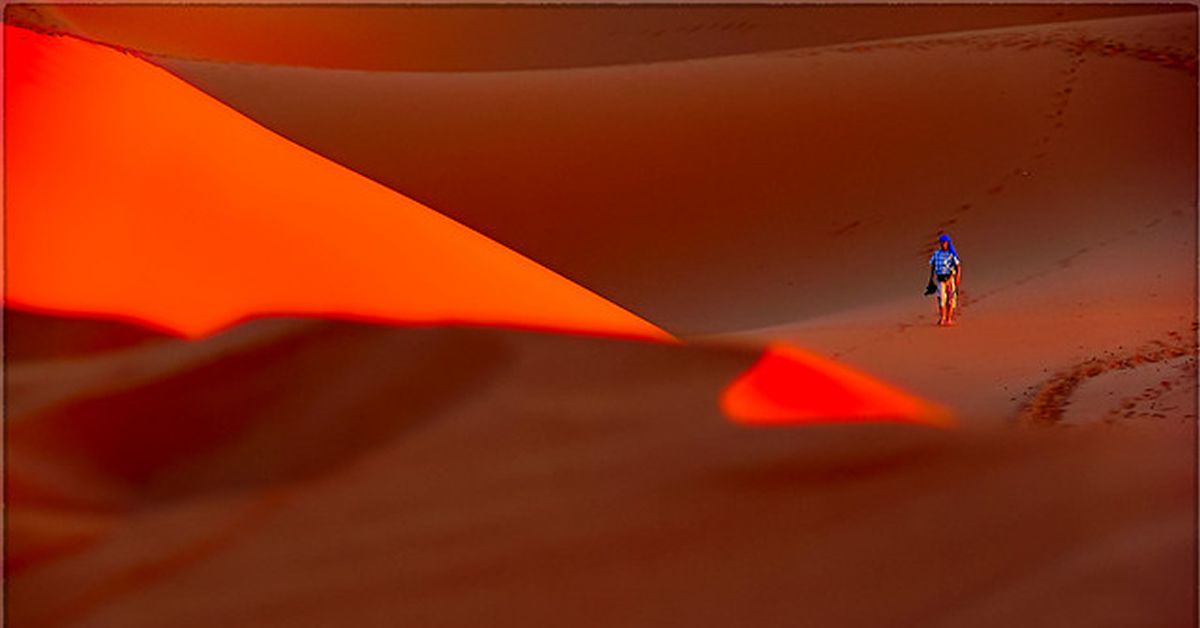 Land Desertification: Its Causes and Effects