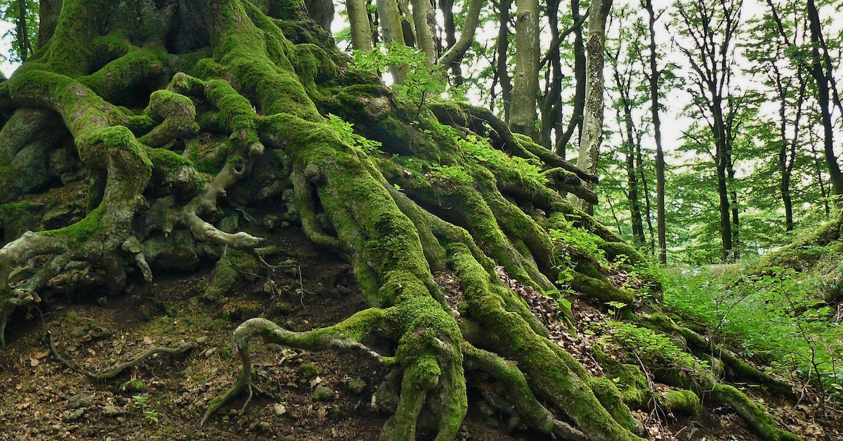 How to Solve Engineering Problems with Root Cause Analysis