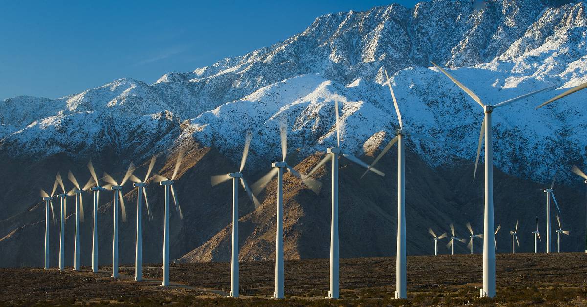 Top 5 Energy Companies that Are Changing the Face of Renewable Energy