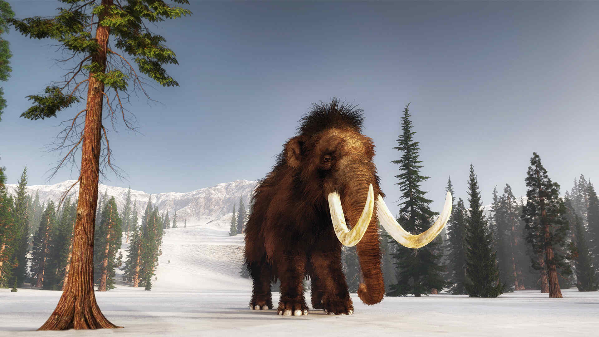 Want to hang out with extinct animals? Metaverse is there for you