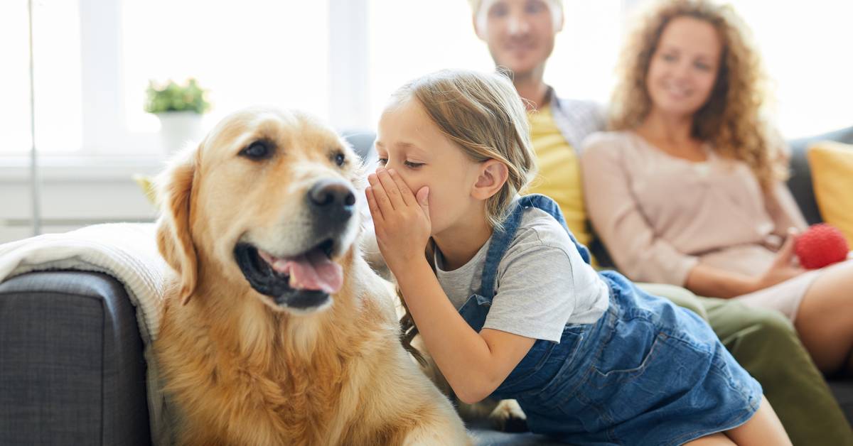 Decoding Animal Talk: How AI May Help Us Speak with Animals
