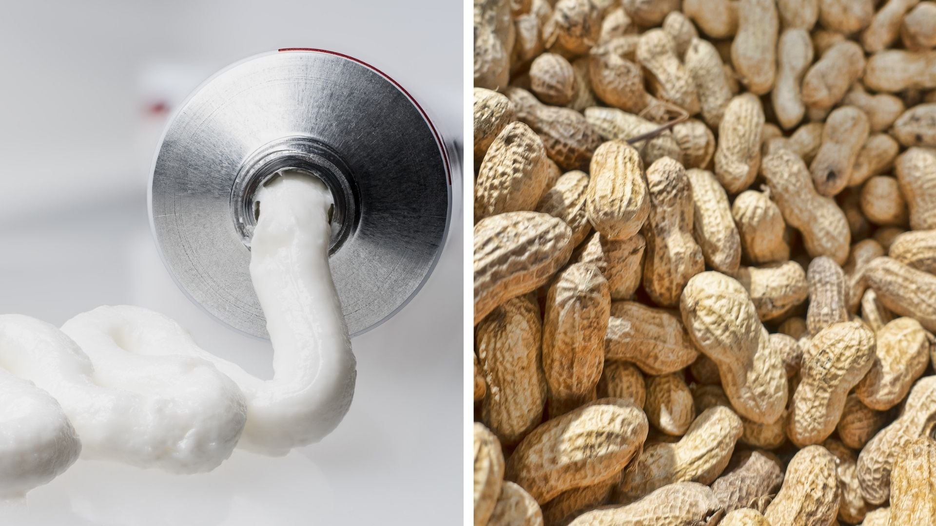 Experimental Toothpaste Might Treat Peanut Allergy