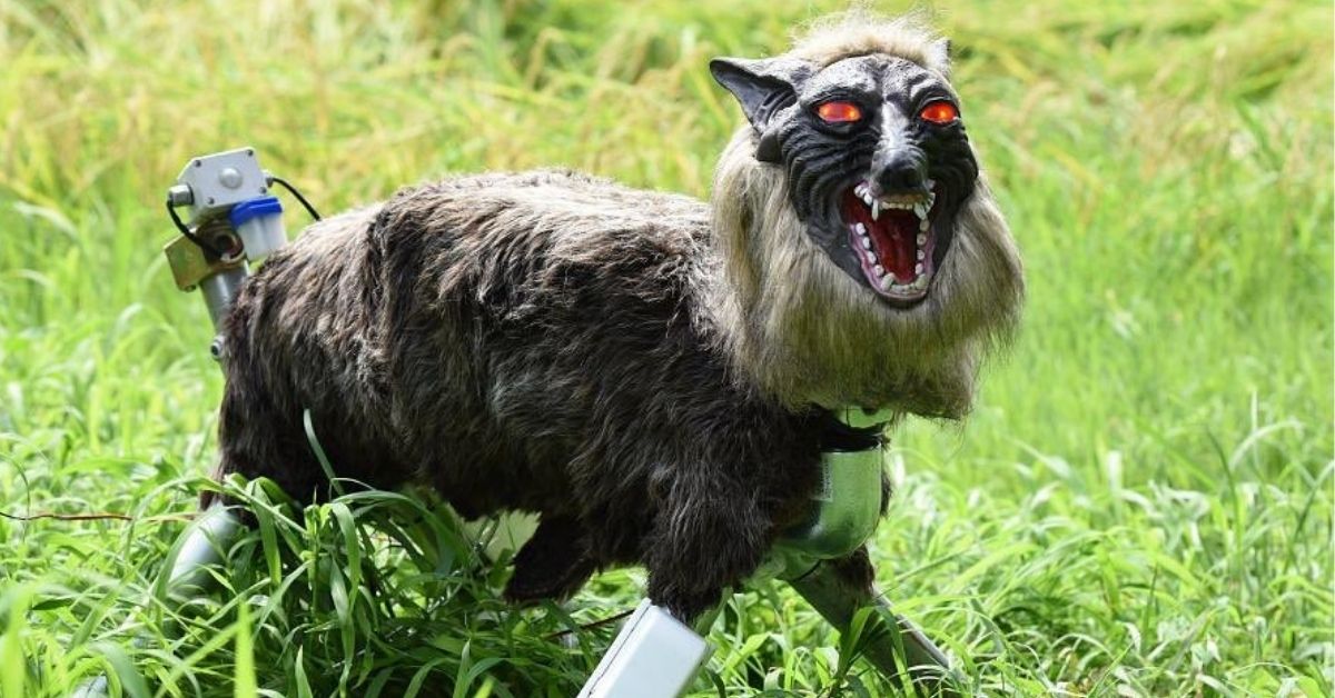 Japanese Town Sets Monster Wolf Robot to Keep Bears Away