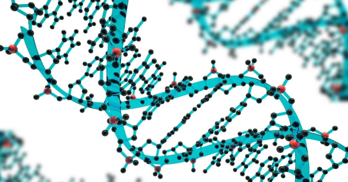 Everything You Need to Know About Genome Editing