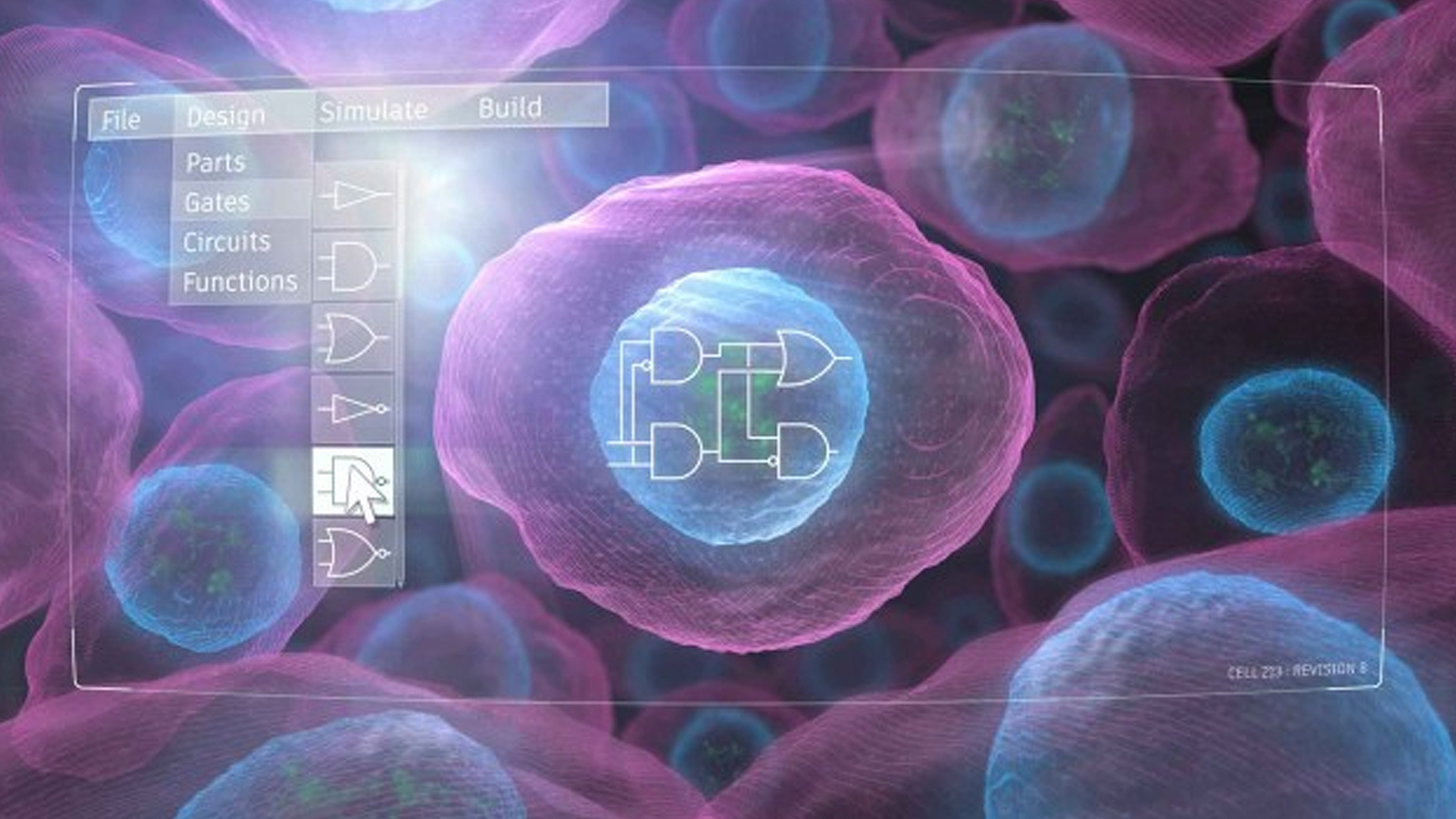 Scientists Find Way to Predict Useful Genetic Designs