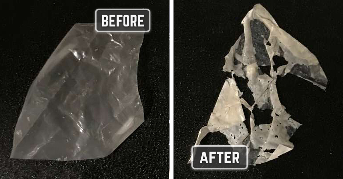 Breaking Down Biodegradable Plastics? Just Add Heat and Water