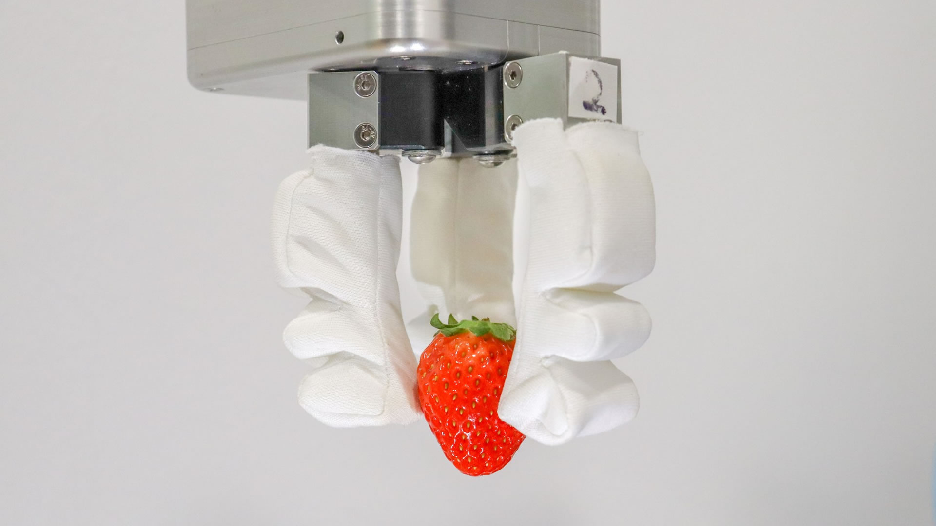 This Human Hand-inspired Soft Robot Gripper Could Be Revolutionary
