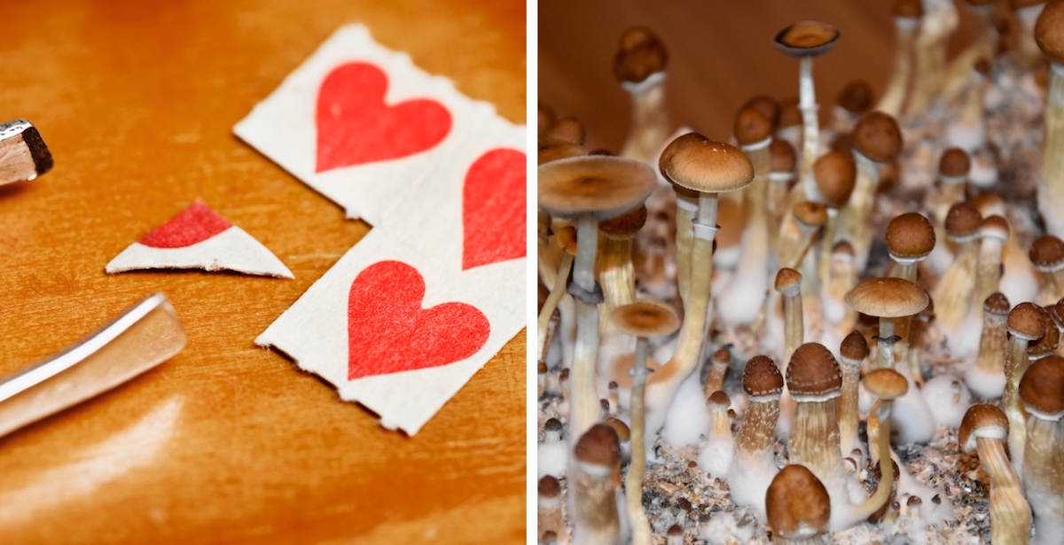 7 Fascinating Psychedelics That Are Making a Resurgence in Scientific ...