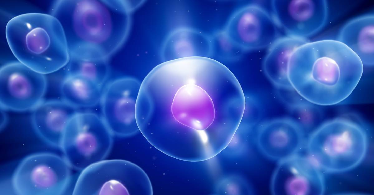 Scientists Uncover How Cells Generate, Use Energy