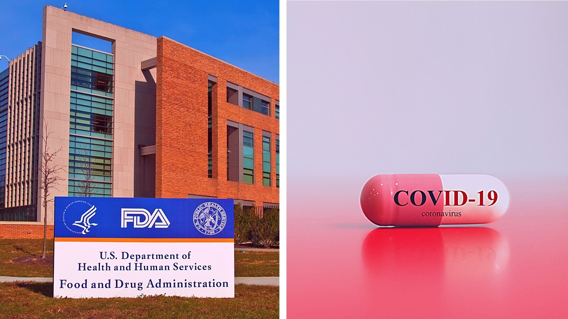The FDA Just Authorized Pfizer’s First Covid-19 Pill