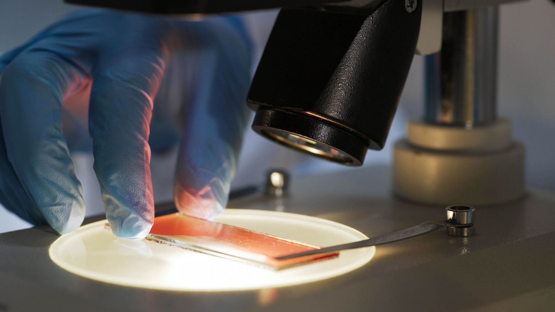 Blood Test That Detects 50 Types of Cancer Nears Launch