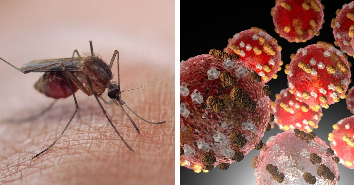 13 of the Most Deadly Diseases in Human History