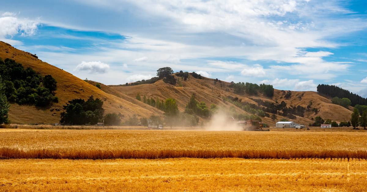 You Can Produce the Same Amount of Food With Half the Cropland, Reveals ...
