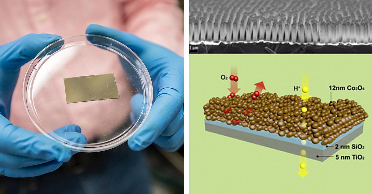 Scientists Develop Artificial Photosynthesis System That Can Perform ...