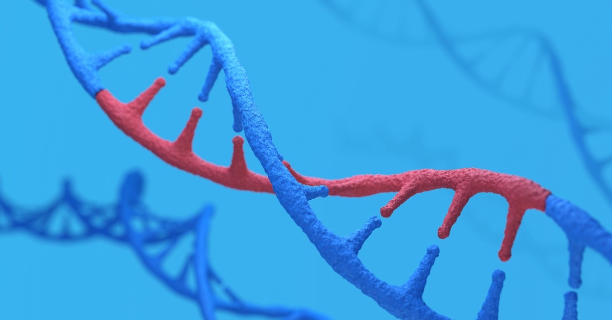 Americans With European, African Ancestry also Have Native American Genes