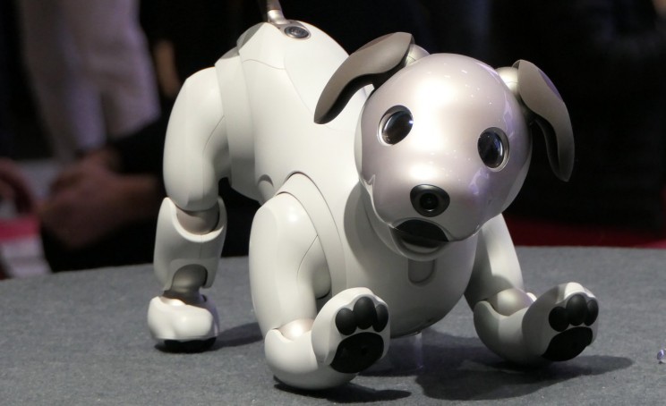 People in Japan Are Now Having Playdates for Their Robotic Pets