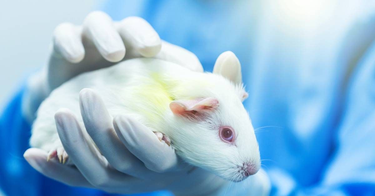 Scientists Use CRISPR to Delete Fearful Memories in Rats